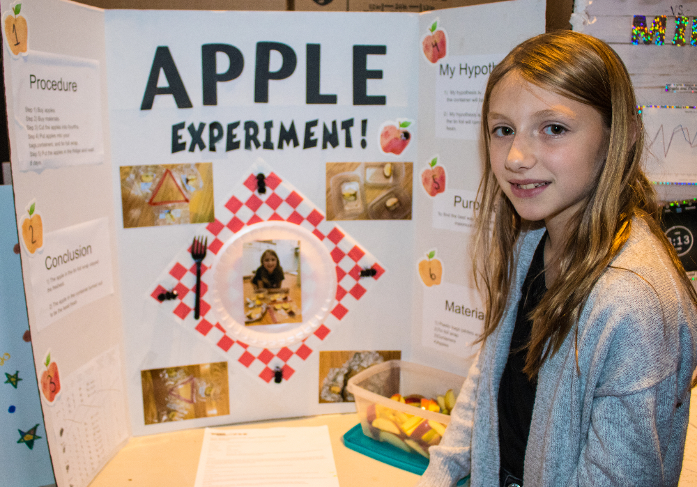 TDA 2019 Elementary Science Fair - The Daniel Academy